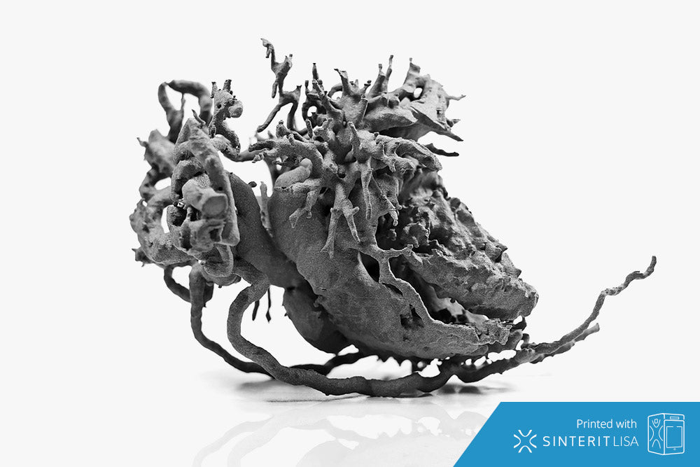 SINTERIT PA12 Smooth FRESH - 10kg – SLS 3D | Additive Manufacturing Germany